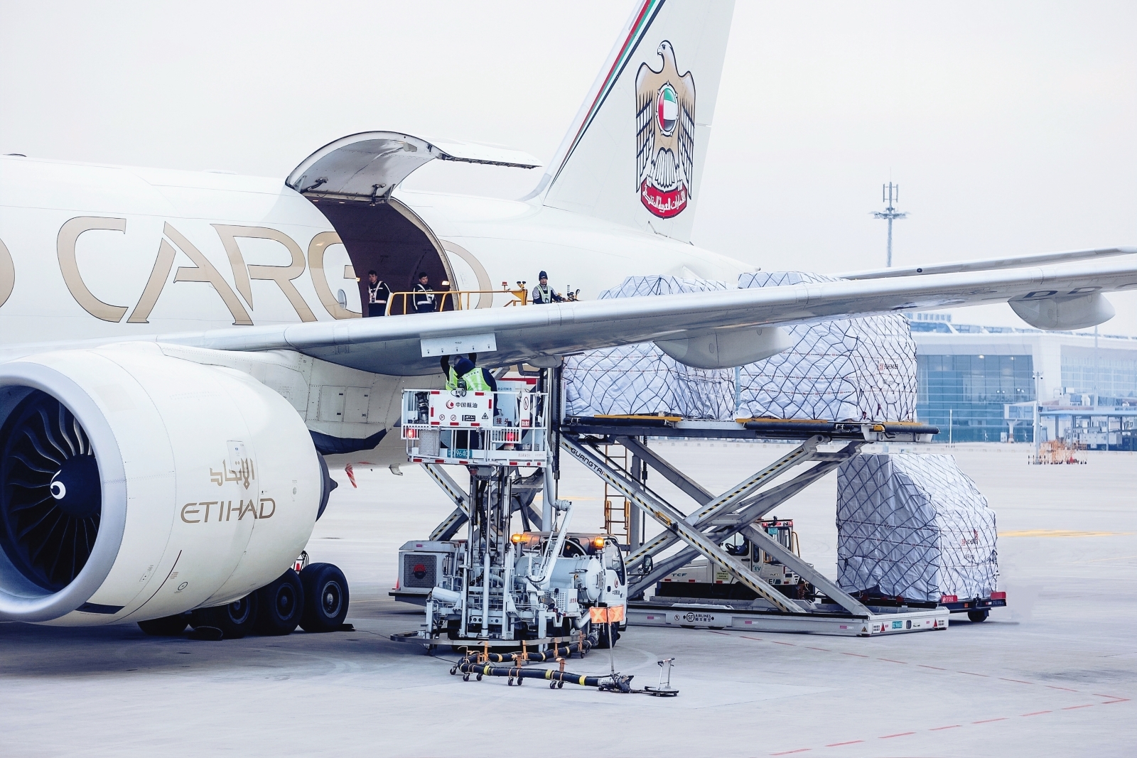 Qatar Airways Cargo launches 'My Allotments' feature on Digital Lounge ...